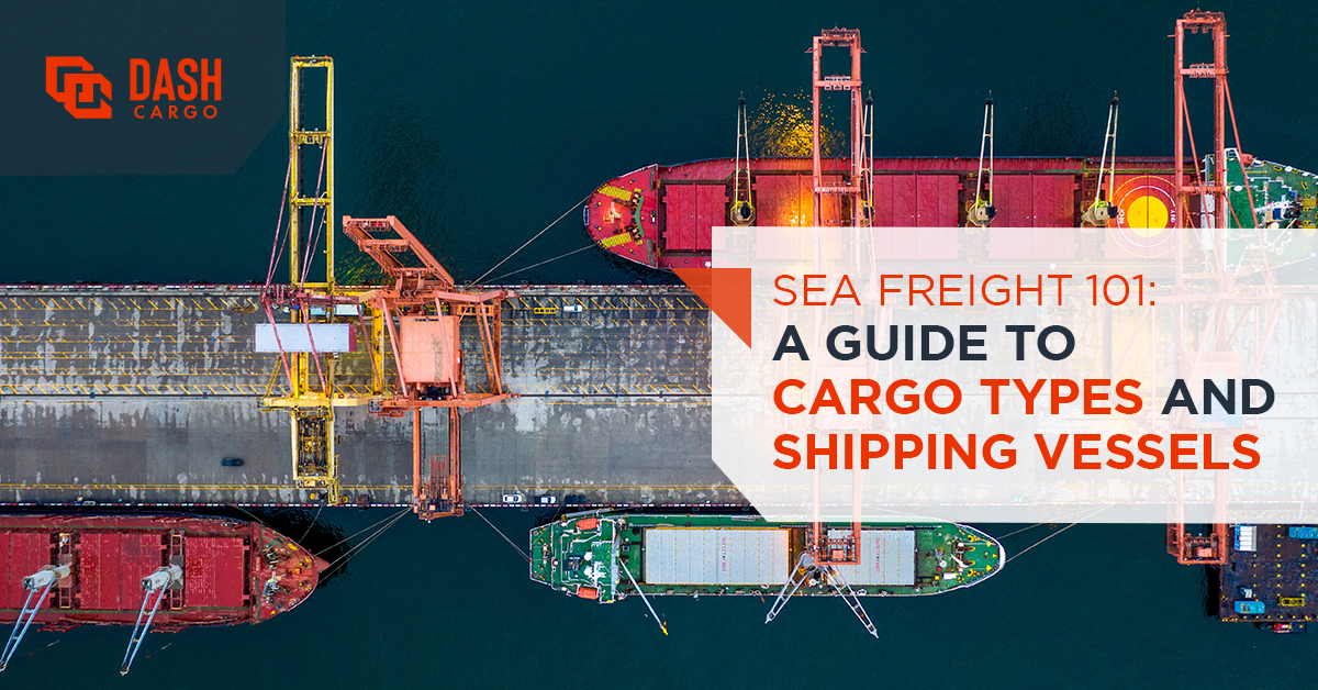 Sea Freight 101: Guide to Cargo Types and Shipping Vessels