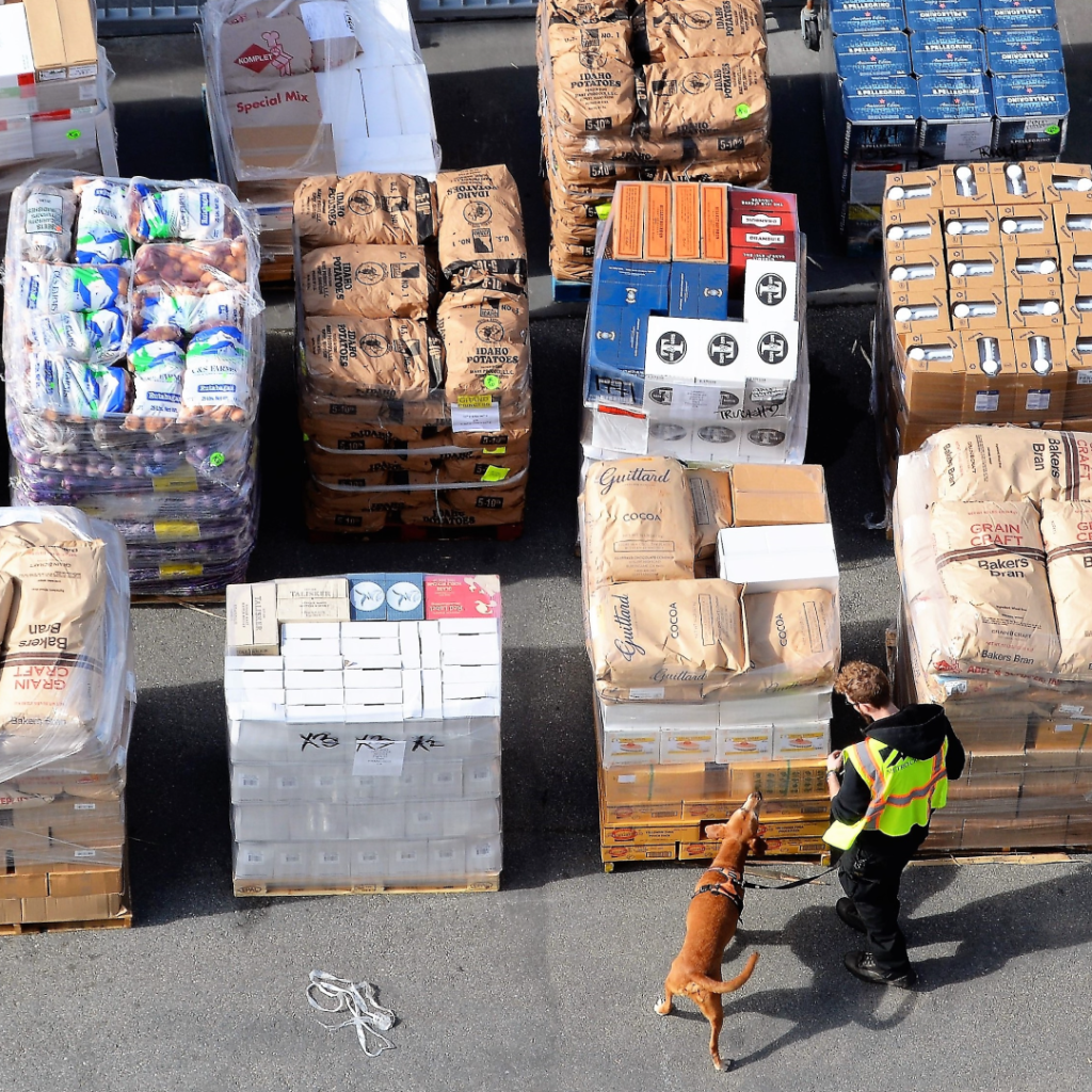 Customs Clearance Guide: What It Is and How it Works